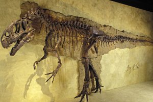 Sauriermuseum Aathal | Mamilade Ausflugsziele