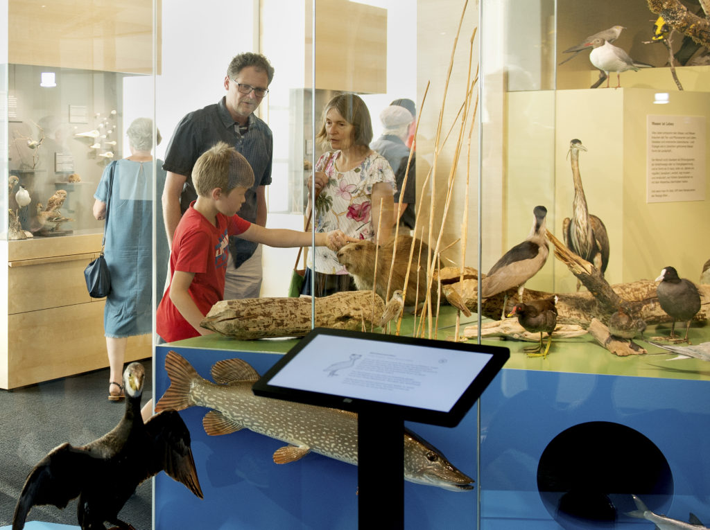 Naturmuseum Solothurn | Mamilade Ausflugsziele