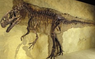 Sauriermuseum Aathal | Mamilade Ausflugsziele